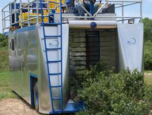 Mechanical Blueberry Harvesting Can Save On Labor - Growing Produce