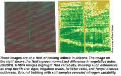 Ground Truthing When It Comes To Aerial Images - Growing Produce