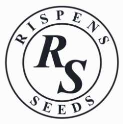 Rispens Seeds, Inc. - Growing Produce
