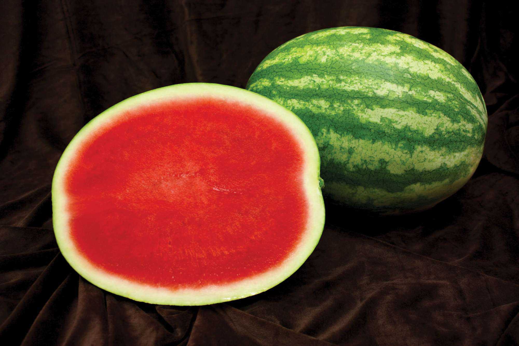 New Watermelon Planting Program For The Southeast U.S. - Growing Produce