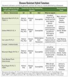 Choose Tomato Varieties With The Best Disease-Resistance Packages ...