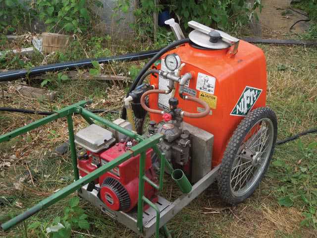 Managing SWD In High Tunnel Raspberries - Growing Produce