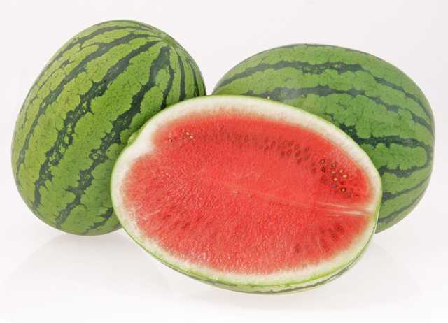 Nunhems To Introduce New Watermelon Variety At National Watermelon ...