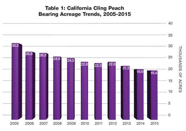 More Cling Peaches Needed - Growing Produce