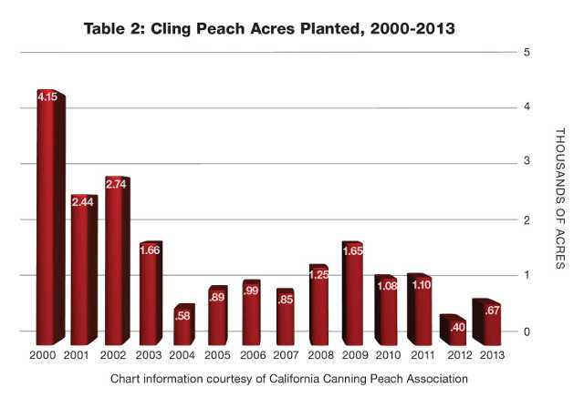 More Cling Peaches Needed - Growing Produce