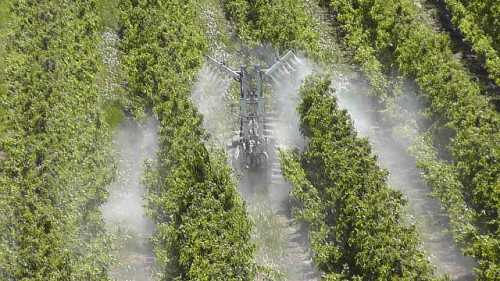 Targeted Spraying In Apple Orchards - Growing Produce