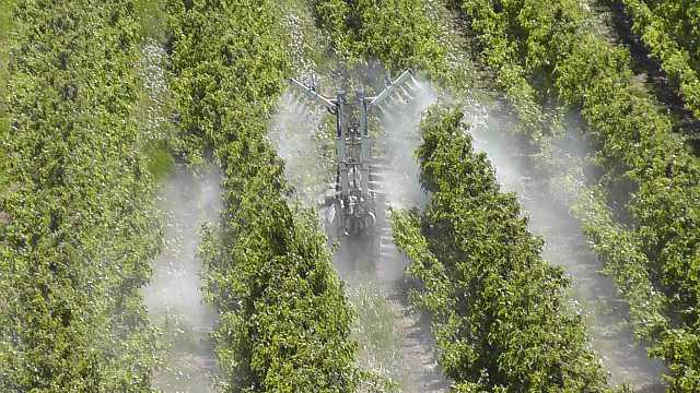 Targeted Spraying In Apple Orchards - Growing Produce