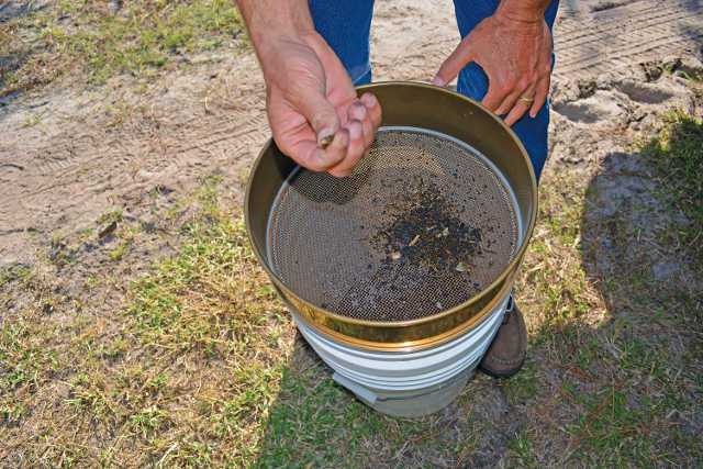 Soil Samples Allow Scientists To Dig Deeper Into HLB - Growing Produce