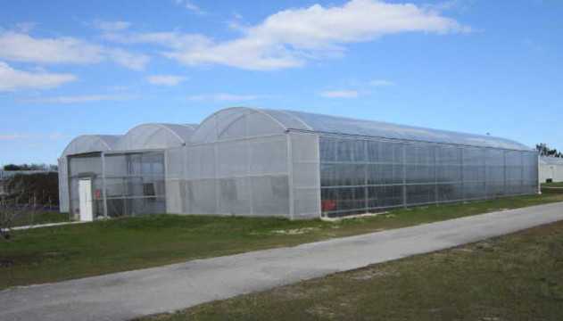 Florida Citrus Industry Welcomes New State-Of-The-Art Greenhouse ...