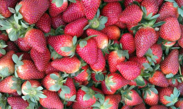 Essence Of Strawberry Possible Key To Healthier Processed Food ...