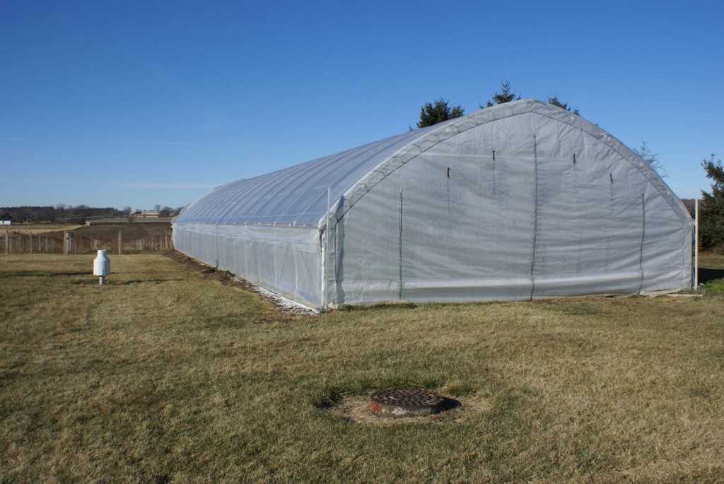 6 Factors To Consider When Constructing High Tunnel End Walls - Growing ...