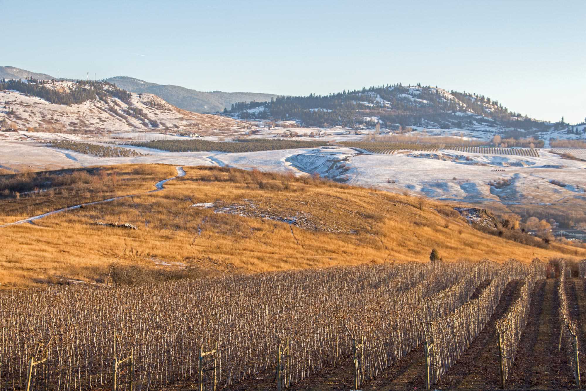 Seeing the World's Best Orchards Firsthand Through IFTA - Growing Produce