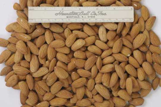 Self-Compatible Almond Tree Released - Growing Produce