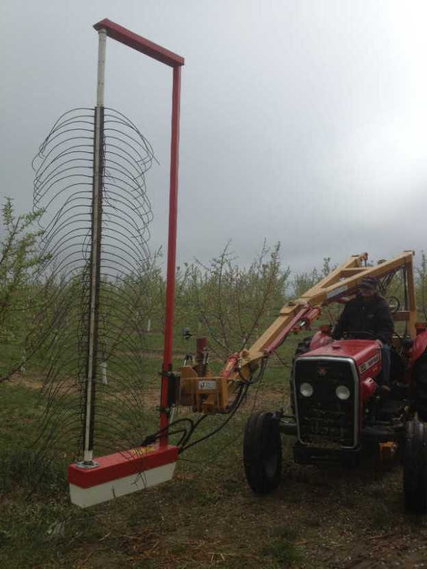 The Evolution of Mechanical Blossom Thinning in Peaches - Growing Produce