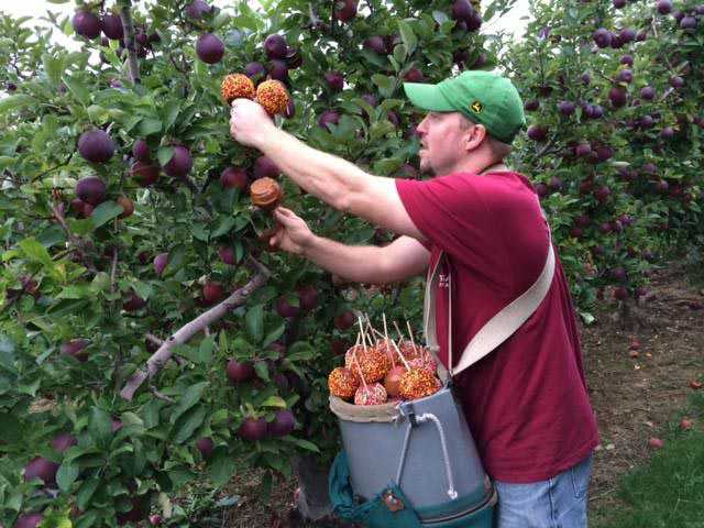 Getting Personal With Social Media - Growing Produce