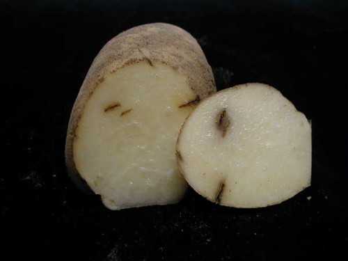 Tips To Avoid Potato Bruising - Growing Produce