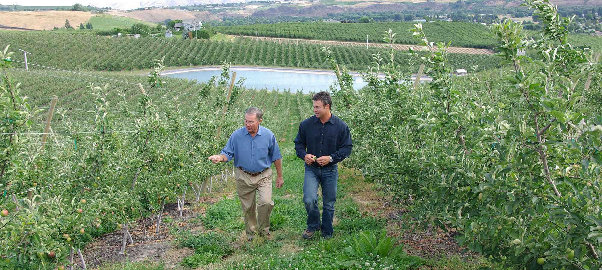 Bill Zirkle Is Apple Grower Of The Year - Growing Produce