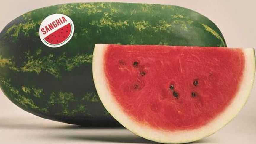 24 Sweet Watermelon Varieties to Consider [Slideshow] - Growing Produce