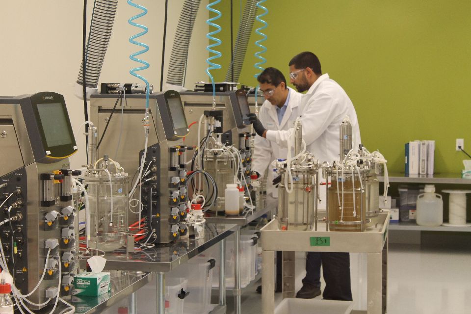 Bayer Opens Worldwide Biologics R&D Center In California - Growing Produce