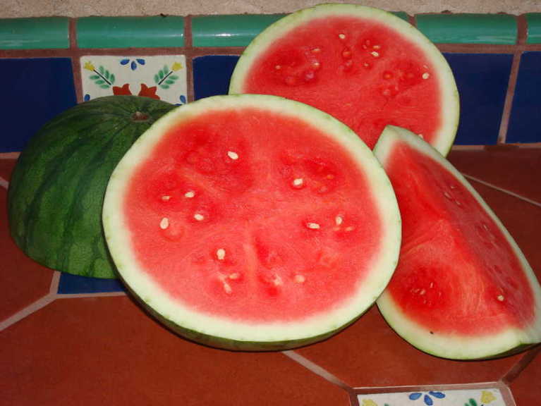 10 Top Performing Watermelon Varieties - Growing Produce