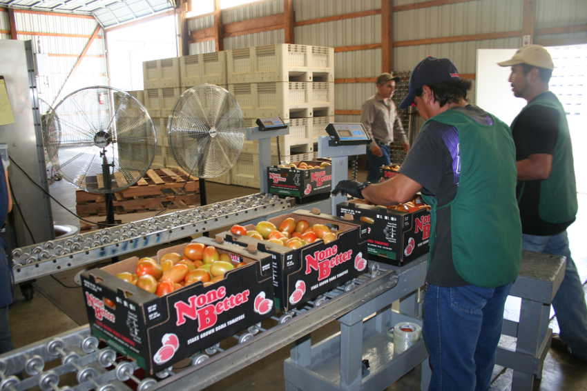 Leitz Farms Takes Action On Immigration Reform - Growing Produce