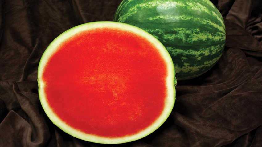 10 Top Performing Watermelon Varieties - Growing Produce