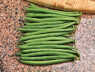 7 Top-Performing Bean Varieties - Growing Produce