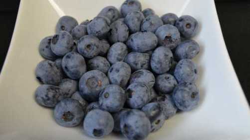 Florida Blueberry Growers Exploring Evergreen Varieties - Growing Produce