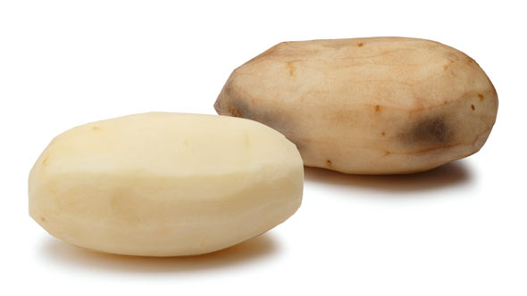 FDA Concludes GMO Crops Innate Potato And Arctic Apple Are Safe For ...