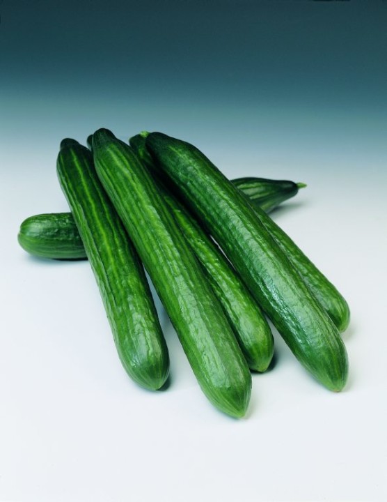 The Latest Vegetable Varieties For Covered Production - Growing Produce