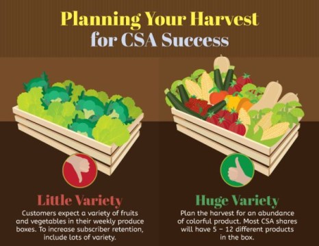 ICYMI: How To Start a CSA - Growing Produce