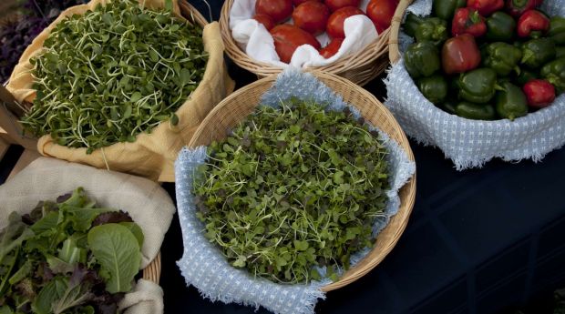 Want A Strong Profit? Find Outlets For All Of Your Produce - Growing ...