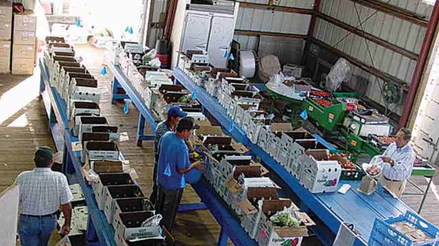 Small Producers Talk Profits - Growing Produce