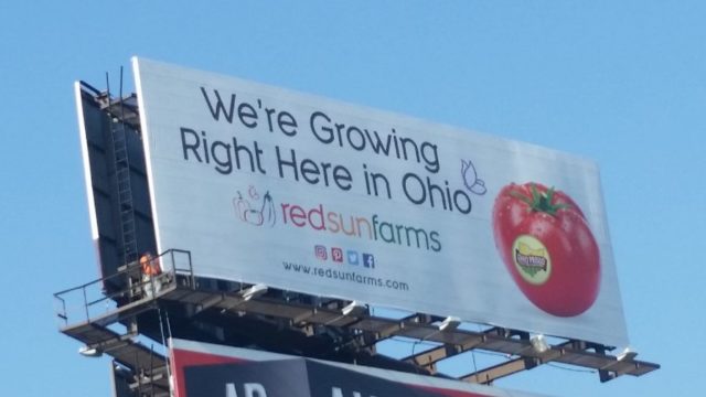 Red Sun Farms Becomes Part Of The ‘Ohio Proud’ Program - Growing Produce