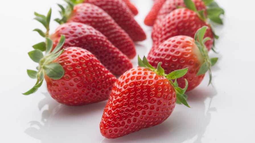 Florida Strawberry Growers Have A Sweet Sensation On Their Hands ...