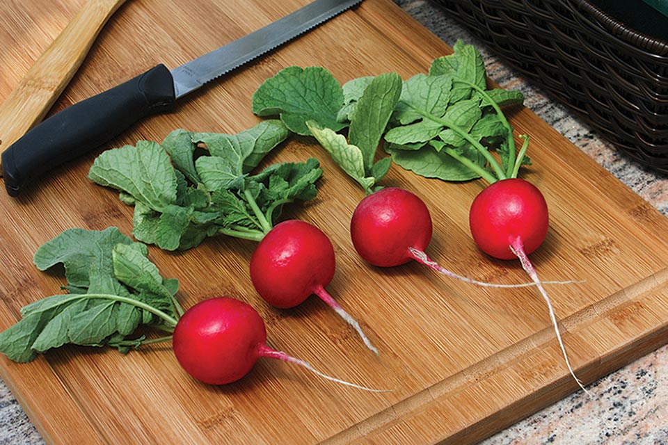 Sakata Seed America 2016 Vegetable Variety Showcase - Growing Produce