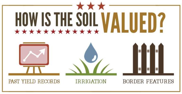 How Soil Type Affects Land Values - Growing Produce