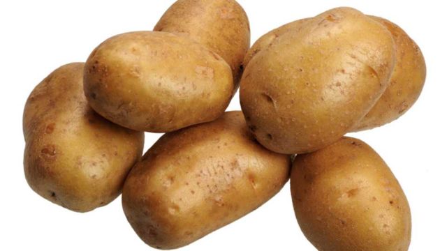 How the Most Popular Potato in the U.S. Reached Its Status - Growing ...