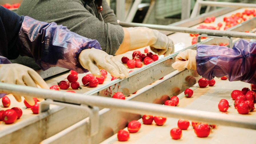 Take the Stress out of Food Safety Inspections - Growing Produce