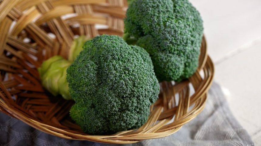 Variety Specs | Production Tips: Broccoli 'Eastern Crown' from Sakata ...