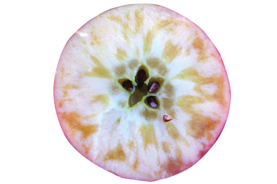 Washington Growers Seeing the Effects of Sunburn - Growing Produce