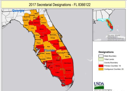 USDA Issues Disaster Declaration for Hurricane-Stricken Florida Farmers ...
