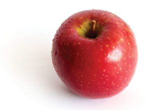 Midwest Apple Improvement Association Breeds Fruit for the Modern ...