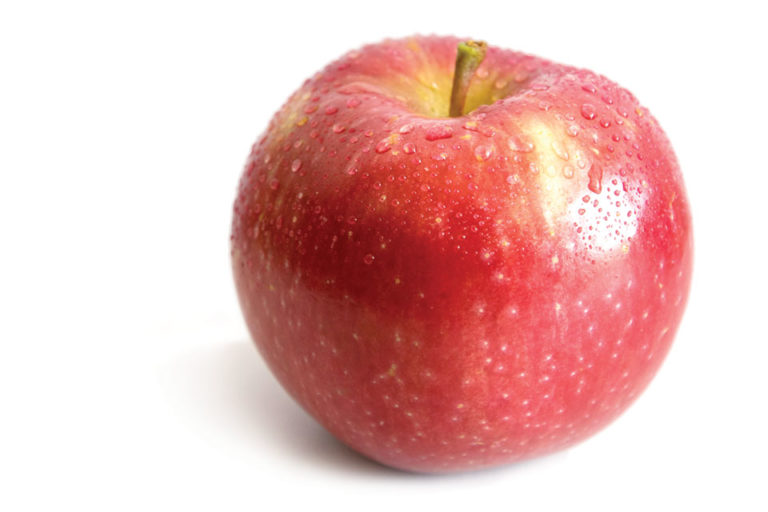 Midwest Apple Improvement Association Breeds Fruit for the Modern ...
