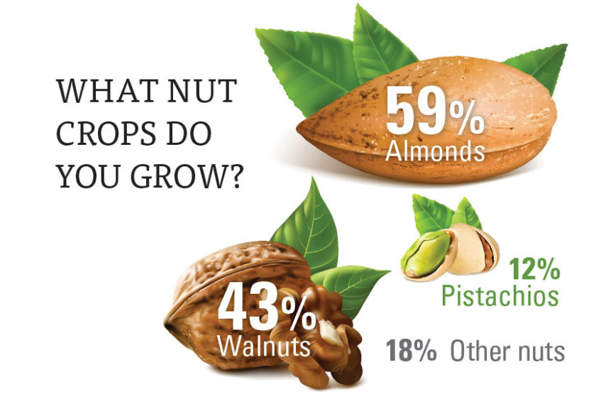 Nut Growers Say They're Feeling Pricing Pinch - Growing Produce