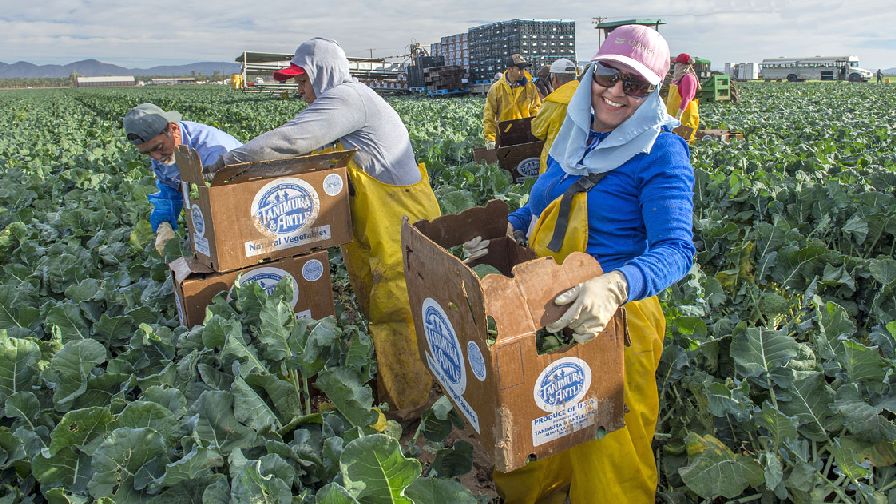 Big and Creative Ideas to Hold on to Your Farm Workforce - Growing Produce