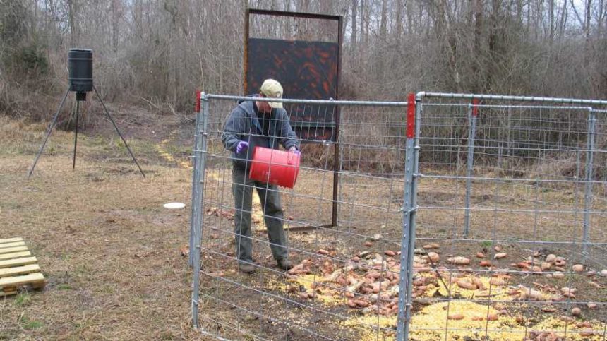 How Farmers Can Get a Handle on Wild Hogs - Growing Produce