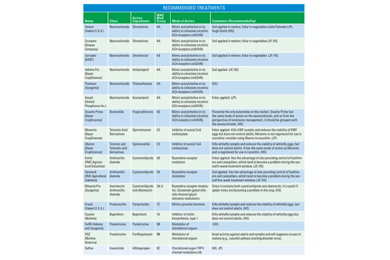 Field Scouting Guide: Whitefly - Growing Produce