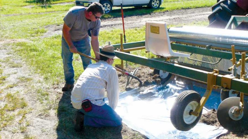 Metalized Reflective Mulch a Bright Spot for Citrus - Growing Produce