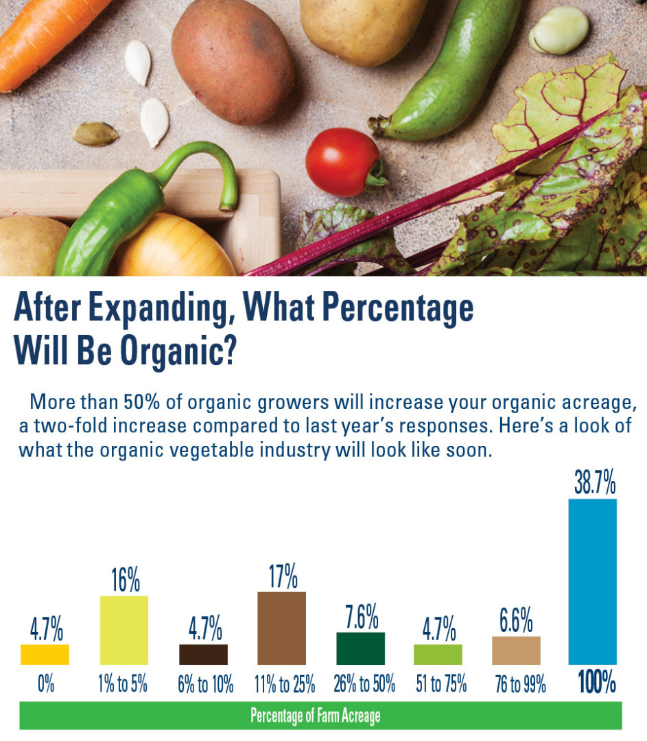Organic Vegetable Production Jumped in 2018 - Growing Produce